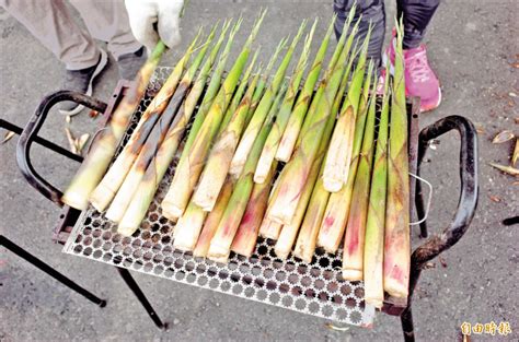 花蓮遊客採筍 千人享用箭筍宴 生活 自由時報電子報