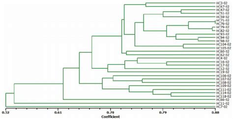 Dendrogram Constructed Using Upgma Method Depicting The Classification