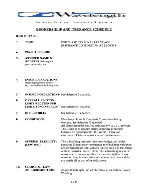 Insurance Slip Example Doc Template PdfFiller