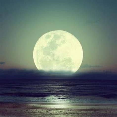 ახალი ამბების არხი Youtube