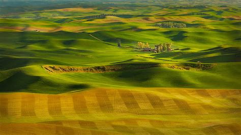 Hd Wallpaper Green Grassy Field Over Horizon Beauty Spring Green