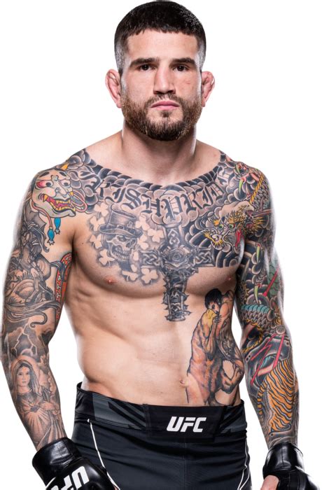 Шон Брэди Ufc