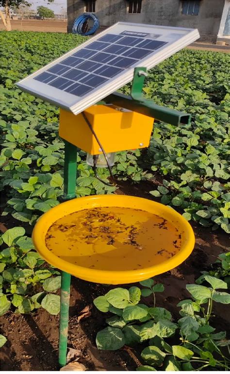 Solar Insect Trap 2 Acre At Rs 4500 In Pune Id 2854102474033