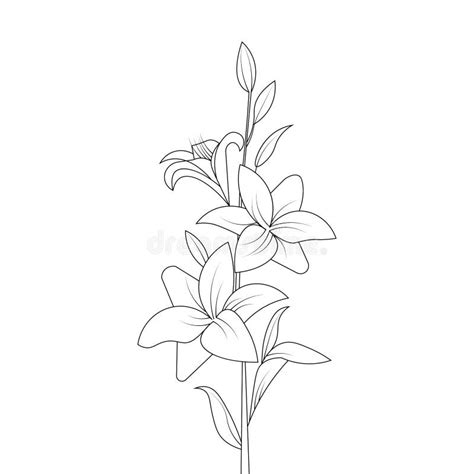 Creative Contour Outline Coloring Page Drawing On White Background Stock Vector Illustration