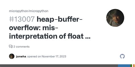 Heap Buffer Overflow Mis Interpretation Of Float As Int At Sliceindices · Issue 13007