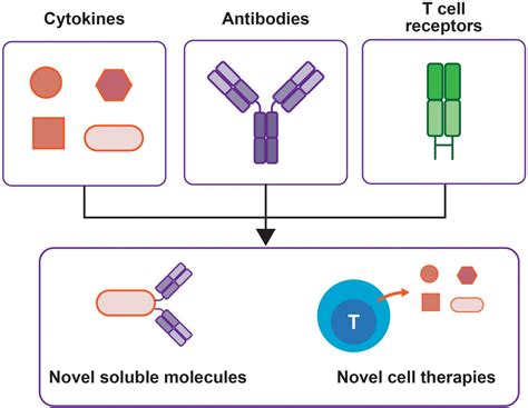 Golden Age Of Immunoengineering Wong 2023 Immunological Reviews Wiley Online Library