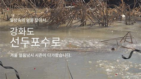 붕어낚시 힐링vlog 강화도 얼음속 붕어들은 응답하라 Youtube