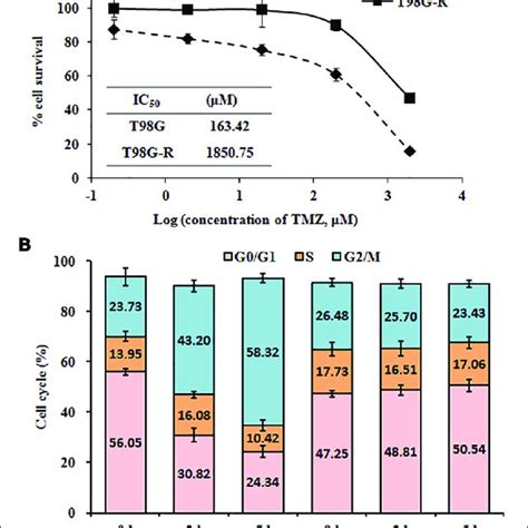 Establishment And Characterization Of Tmz Resistant Gbm Cell Lines