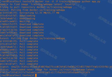 Docker容器的使用和连接 请叫我头头哥 博客园
