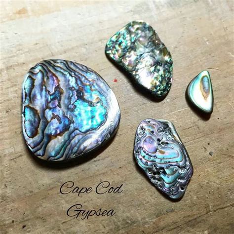 Pretty Abalone Shell Shells Abalone Shell Pebbles