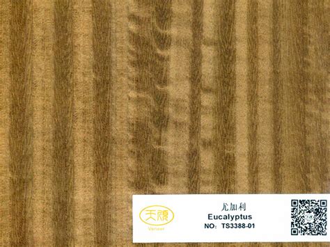天然 直纹 山纹 金影 白影 酸枝 黑檀 黑胡桃木皮 球纹沙比利 东莞市天顺木业有限公司