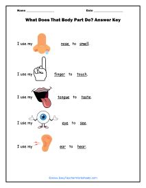 Index Of Pages Pdf Science Answerno Senses