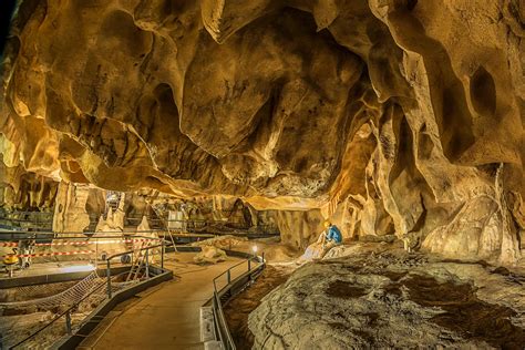 Finally The Beauty Of Frances Chauvet Cave Makes Its Grand Public Debut