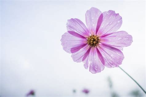 Highly Empathic People Have These 4 Super Powers