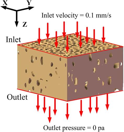 Boundary Conditions Download Scientific Diagram