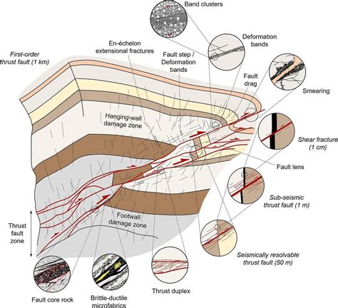 Journal Conceptualized Illustrations Of The Anatomy Of Well