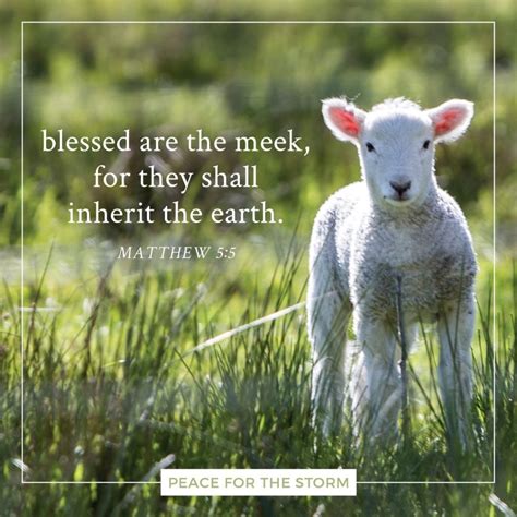 Blessed Are The Meek Peace For The Storm