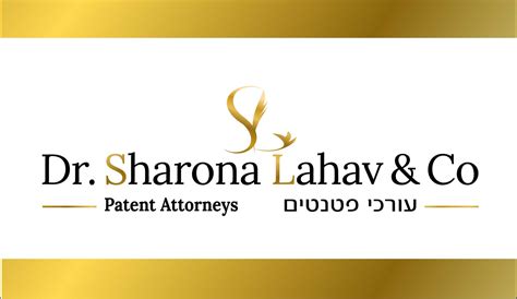 עיצוב לוגו מקצועי וממותג לעסקים וחברות עיצוב לוגו בהתאמה אישית