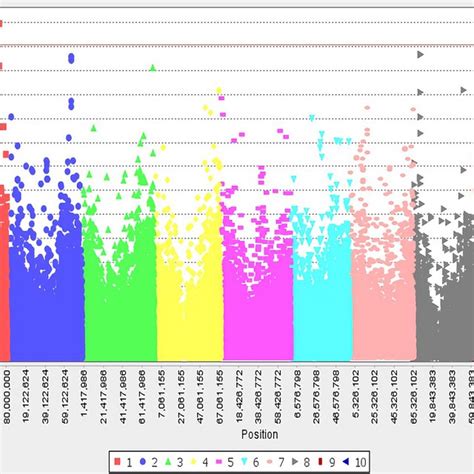 The Genome Wide Association For Response To Anthracnose In Senegalese