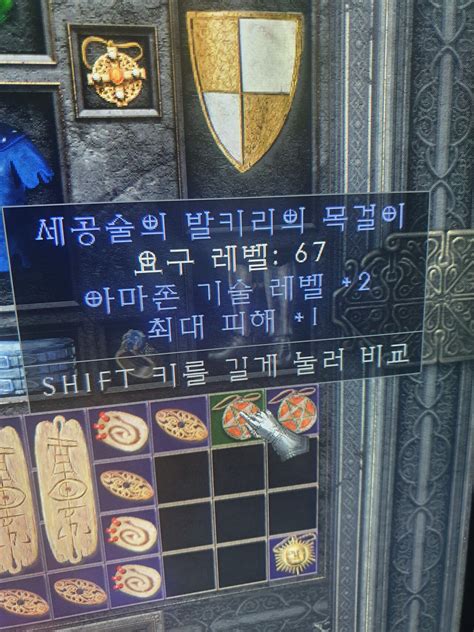 도박해서 나온 목걸이 좀 봐주세요 디아블로 에펨코리아