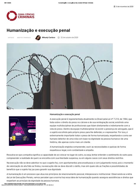 Humanização E Execução Penal Canal Ciências Criminais Pdf Direito