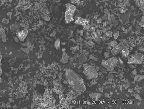 Sem Image Of Sio 2 P 2 O 5 Tio 2 Pvp Hybrid Composite Download