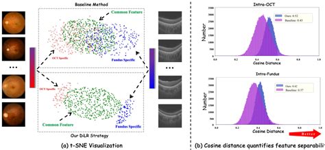 논문 리뷰 Robust Multimodal Learning For Ophthalmic Disease Grading Via