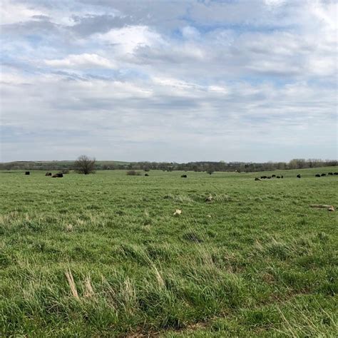 Midewin National Tallgrass Prairie 3 Tips