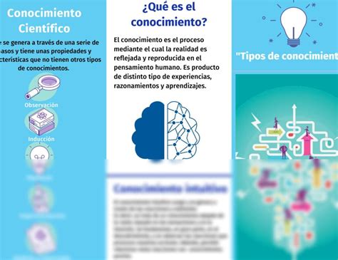 Ejemplos De Conocimiento Común Y Científico Explorando Las Diferencias