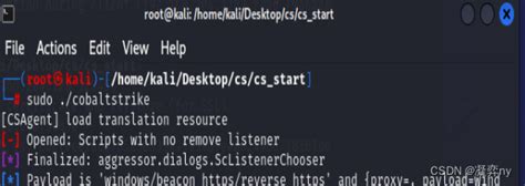 cobaltstrike使用教程 linux上线windows cobalt strike linux上线 csdn博客