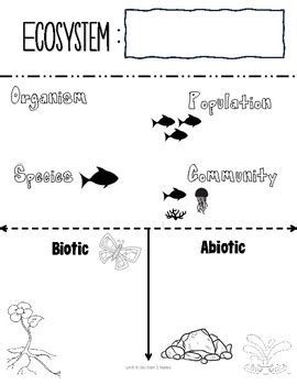 Ecosystem Note Catcher By Mayham In Middle Babe TPT