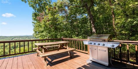 Morganton Cabin Bear Necessities Georgia Cabins For You