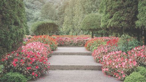 8 Steps To Spiritual Maturity Ladies Drawing Nigh