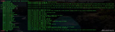 反弹shell，一篇概括 Csdn博客