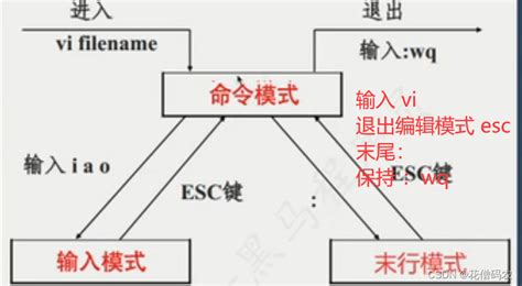 linux常用命令 测试篇 linux命令测试 csdn博客