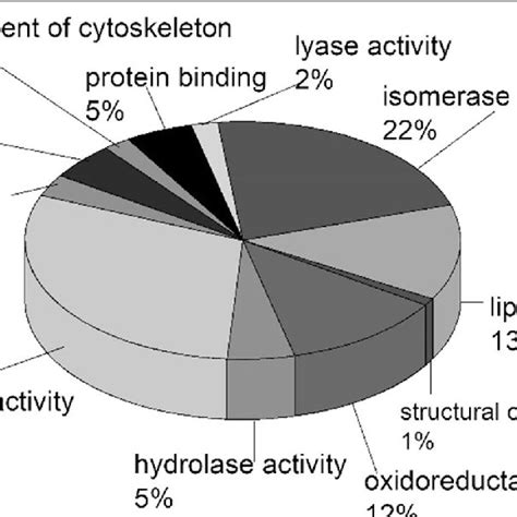 Classification Of SCP By Molecular Function Gene Ontology GO Download Scientific Diagram