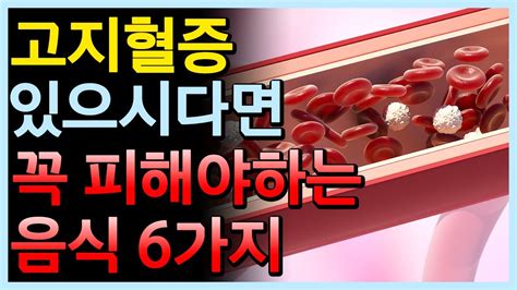 고지혈증 있고 콜레스테롤 높다면 이거 드시면 안 됩니다 노년건강 생활습관 식습관 발암물질 암예방 Youtube