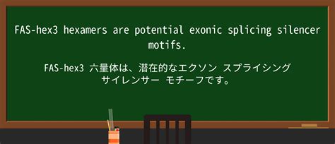 【英単語】hexamerを徹底解説！意味、使い方、例文、読み方 おもしろい英文法