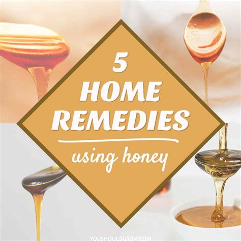 57 All Natural Ways To Get Rid Of Ants You Should Grow