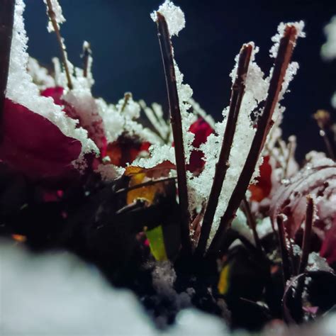 Photography Inspired By The Fragile R Nin