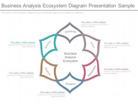 Business Analysis Ecosystem Diagram Presentation Sample