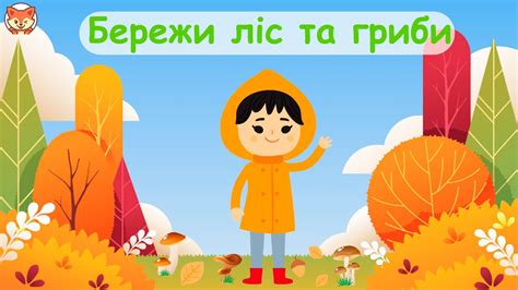 Правила поведінки в лісі для дітей Правила збирання грибів для дітей