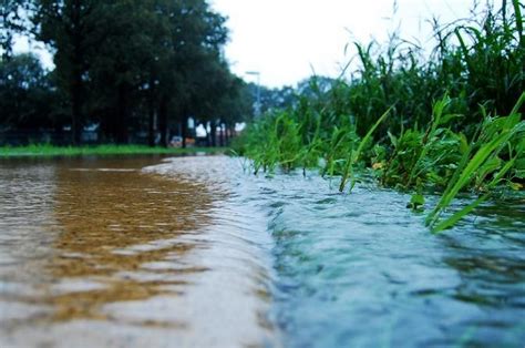 Innovative Landscape Architecture Merging Nature And Design Rtf Rethinking The Future