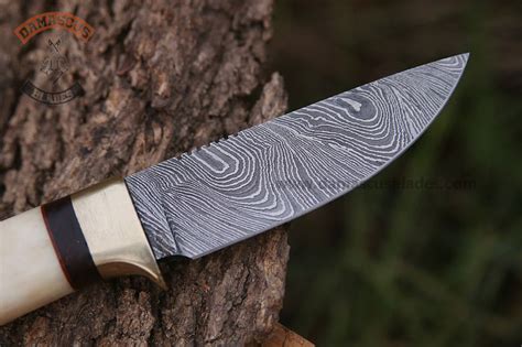 Damascus Fixed Blade Hunting Knife With Leather Sheath 2024