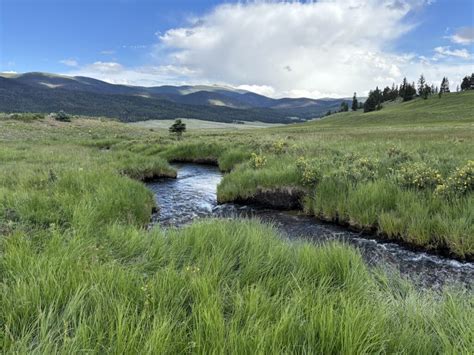 A Ted Turner Ranch Is Northern New Mexicos Hidden Gem Small Town Stops