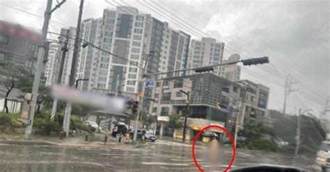비 오는 날 우산 쓰고 ‘옷 벗은 남자 무단횡단까지 ‘아찔
