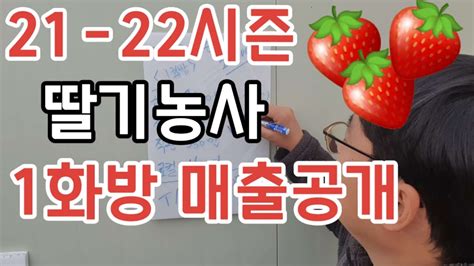 딸기농사 1화방 매출 Youtube