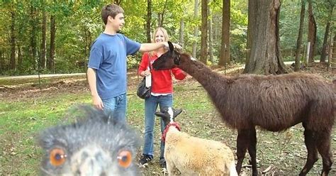 Greatest Photobomb Ever Imgur