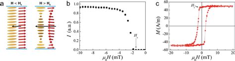 Magneto Optic E Ff Ect In A Parallel Fi Eld A A Schematic Of The Download Scientific Diagram