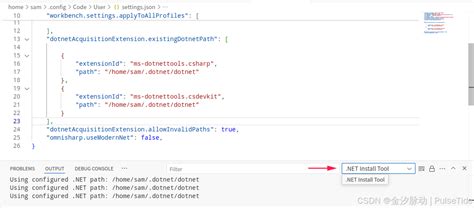 Net Sdk 各操作系统开发环境搭建dotnet Sdk Csdn博客
